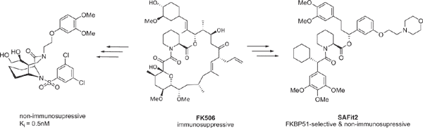 Publications – Pomplun Lab