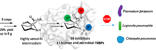 Publications – Pomplun Lab