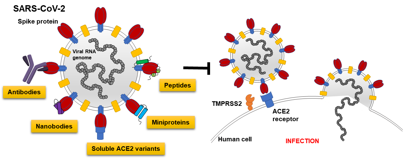 Publications – Pomplun Lab