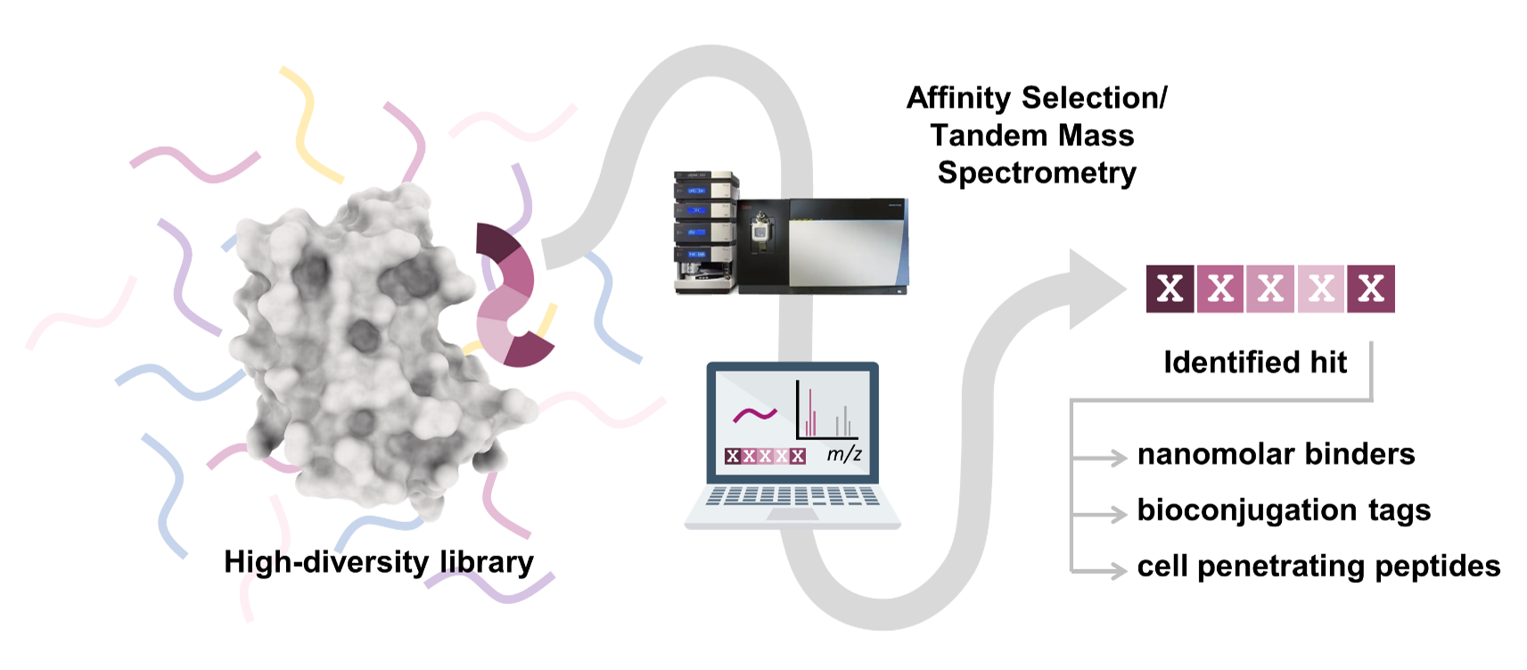 Publications – Pomplun Lab